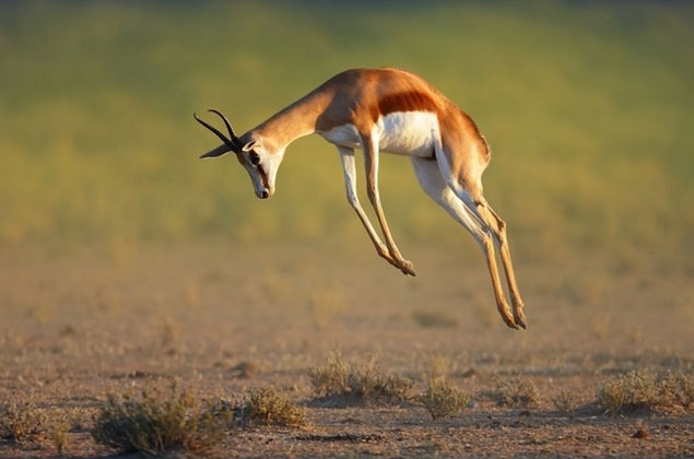 Una misma “fórmula mágica” es la que determina el movimiento de todos ...