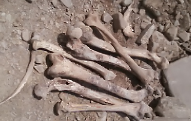 Chile: hallan restos humanos cerca de enclave alemán pronazi vinculado ...