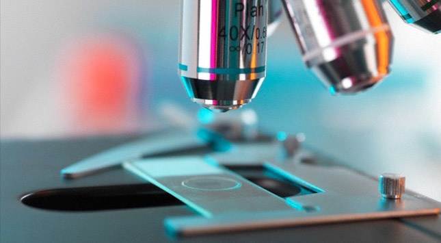 Infecciones causadas por bacterias multirresistentes - Noticias Uruguay ...