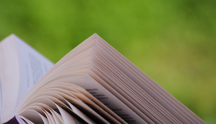 La lectura es una gran amiga para el cerebro - Noticias Uruguay ...