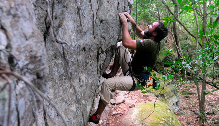 Trepar árboles y hacer equilibrio puede fortalecer la memoria ...