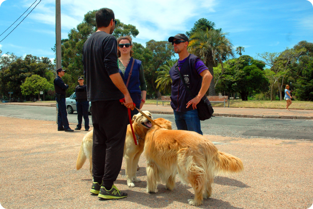 "Tu perro es tu responsabilidad": resultados positivos en Montevideo ...
