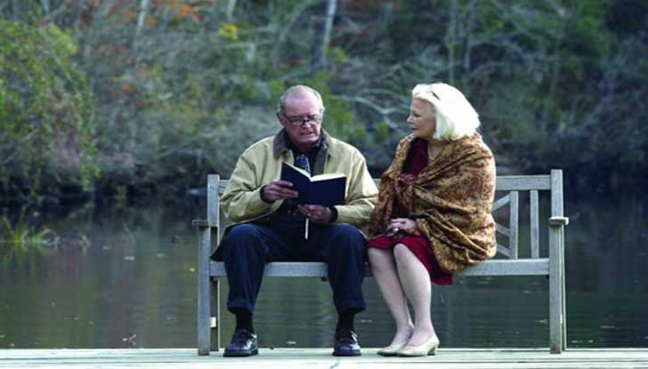 Artista recrea las mejores escenas de "The Notebook" con las princesas ...