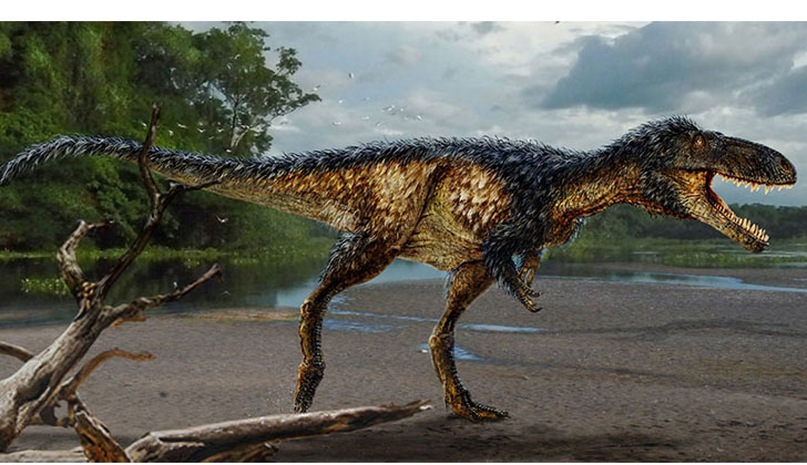 El Tiranosuario Rex desarrolló sus sentidos e inteligencia antes de ser ...