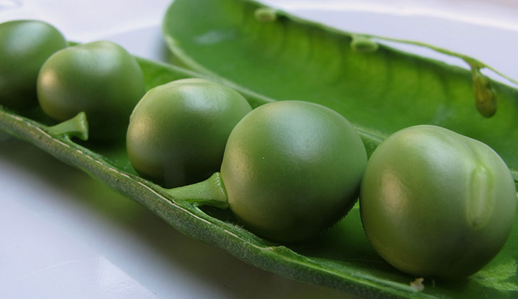 Propiedades y beneficios de las arvejas - Noticias Uruguay, LARED21 ...