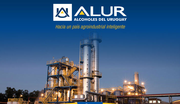 La facturación de ALUR creció de 26 millones de dólares en 2009 a 250 ...