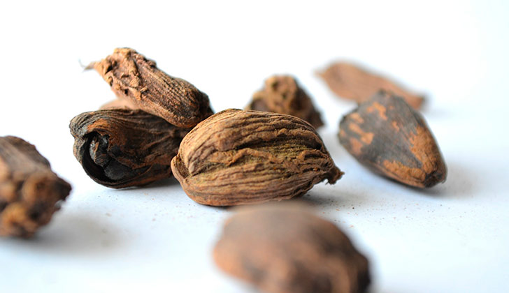 Propiedades medicinales de la nuez moscada - Noticias Uruguay, LARED21 ...