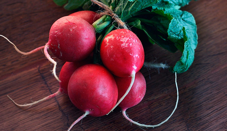 Propiedades y beneficios del rabanito para la salud - Noticias Uruguay ...