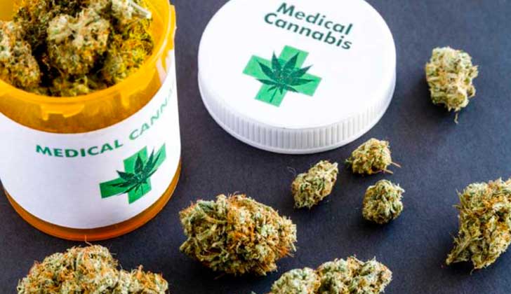 Argentina aprueba el uso medicinal de la marihuana - Noticias Uruguay ...