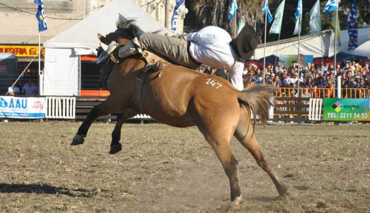 La 95° edición de la Semana Criolla ofrecerá propuestas innovadoras ...