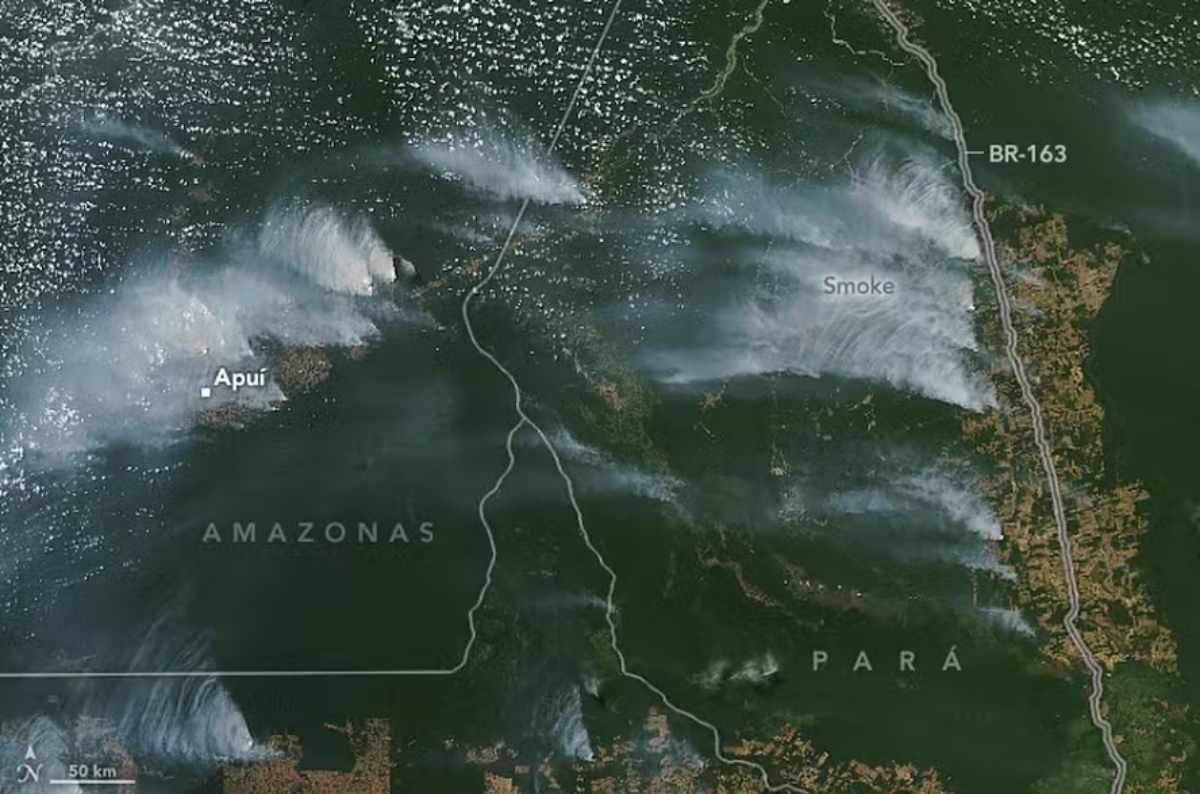 La Amazonia ha tenido 13.000 incendios en 2024: el humo llegó a Uruguay ...