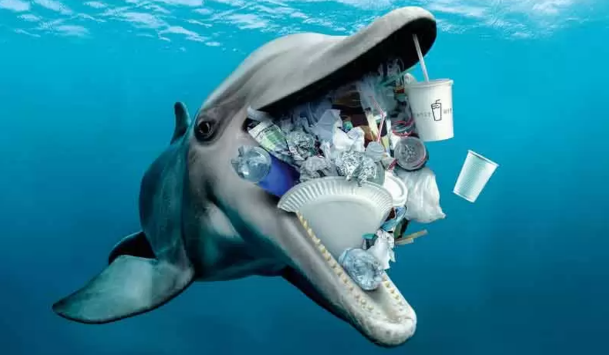 Microplásticos en delfines: Un grave riesgo ambiental y de salud ...