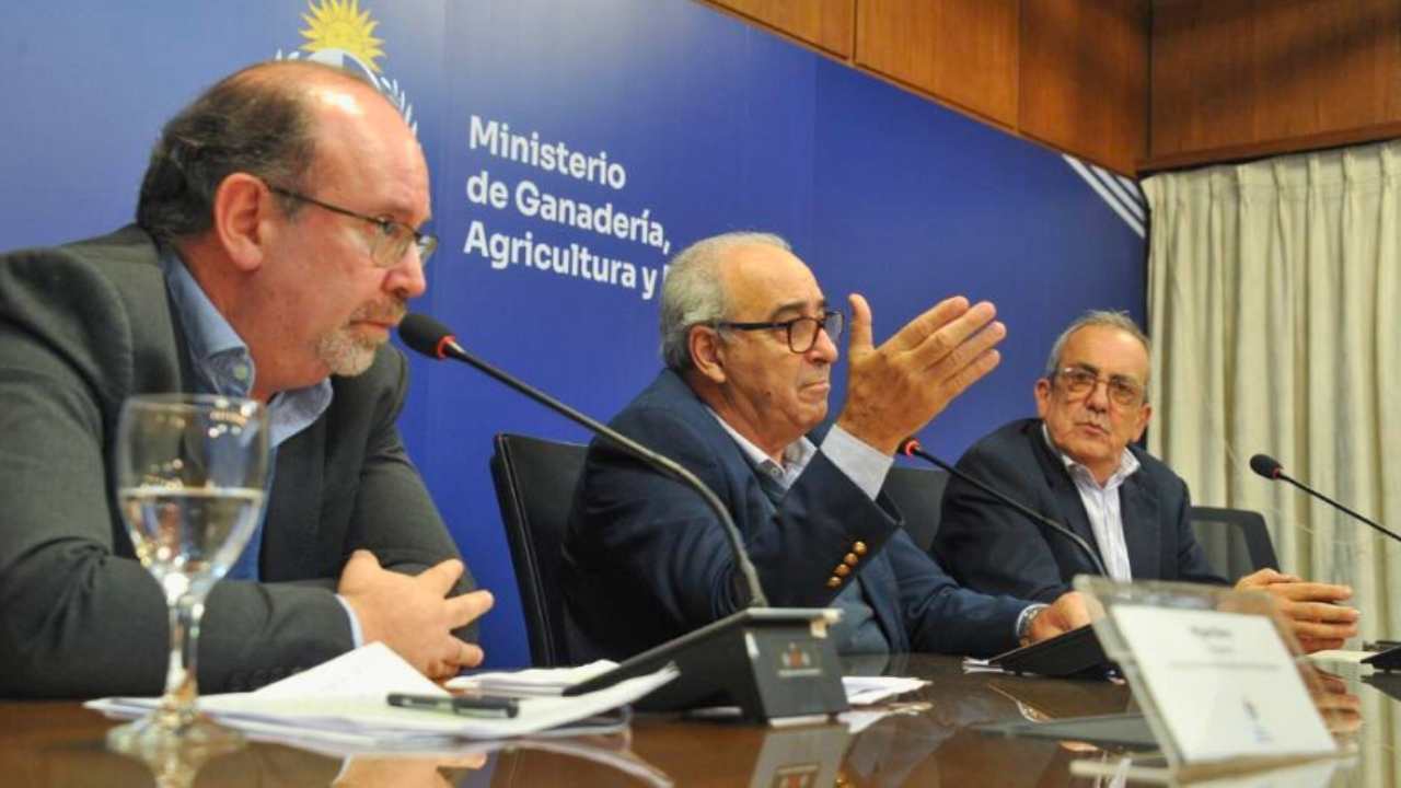 Se logró histórico acuerdo para exportar harinas de colza y soja de Uruguay a China - Noticias ...