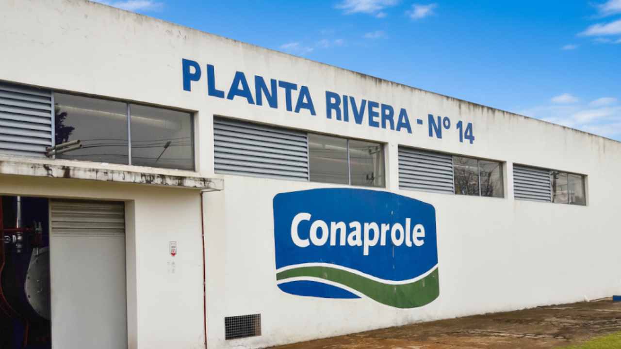 Conaprole y sindicato analizan propuestas del MTSS por el cierre de ...