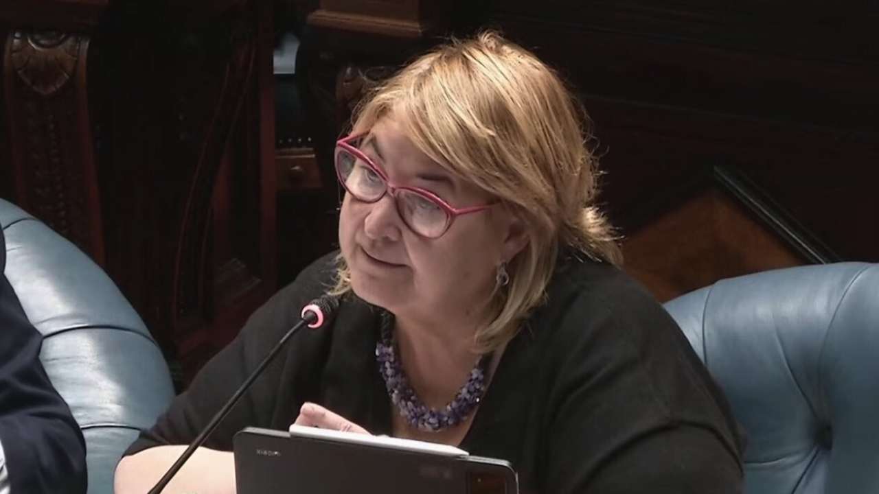 El Senado analiza rescisión del contrato con Cardama y la oposición fracasa en su intento de ...