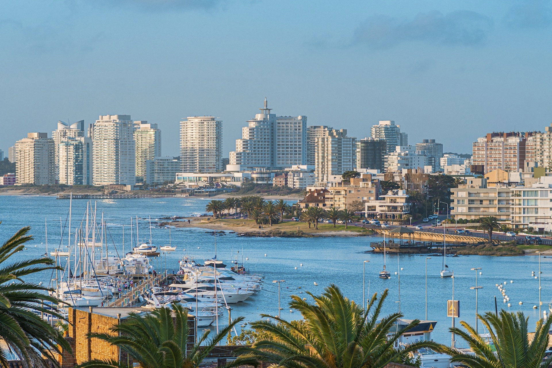 Apartamentos en el puerto de Punta del Este: guía completa - Noticias ...